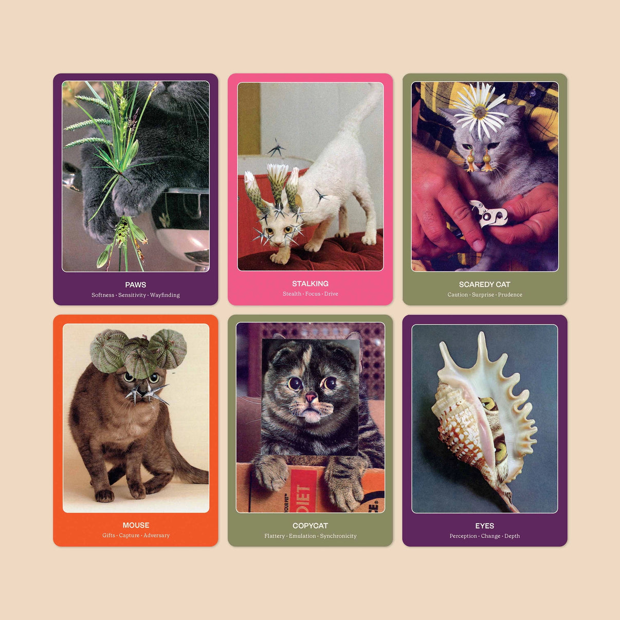 The Cat Oracle: 33 Card Deck & Guidebook – Piecework Puzzles