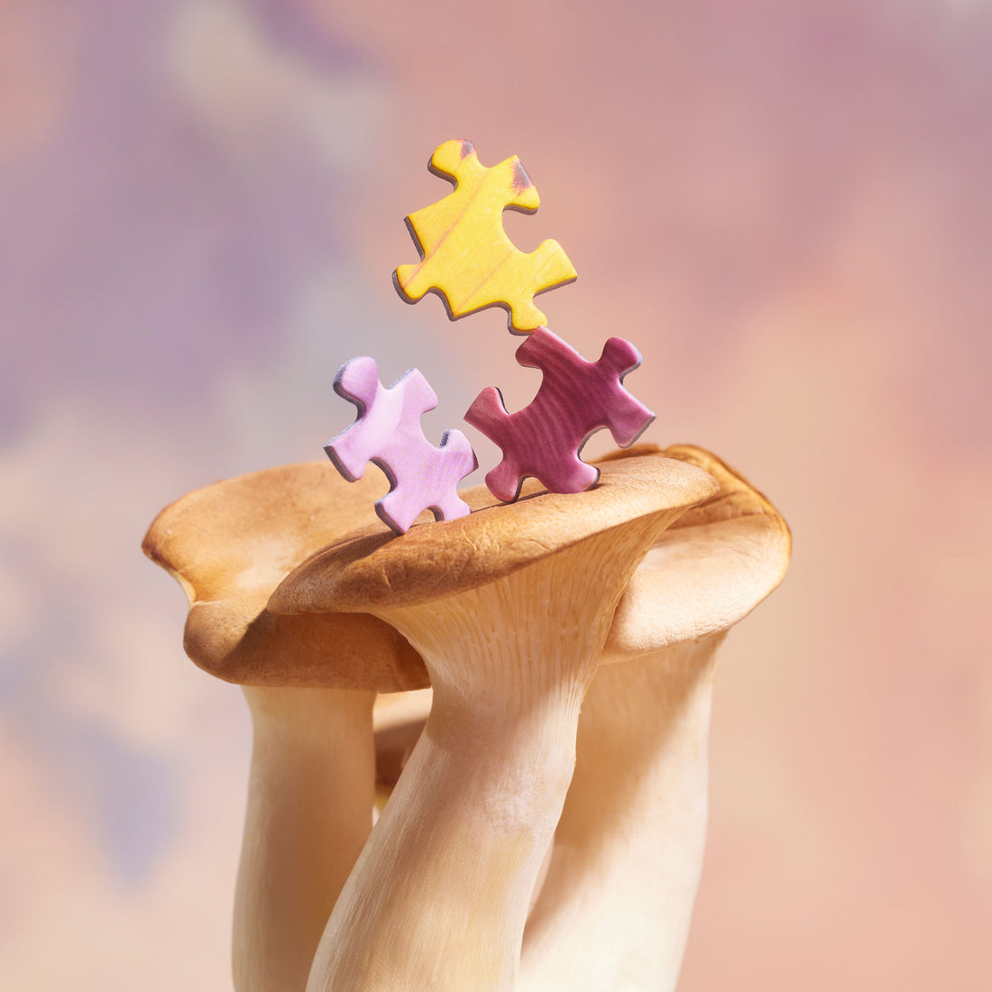 Magic Moment – Piecework Puzzles